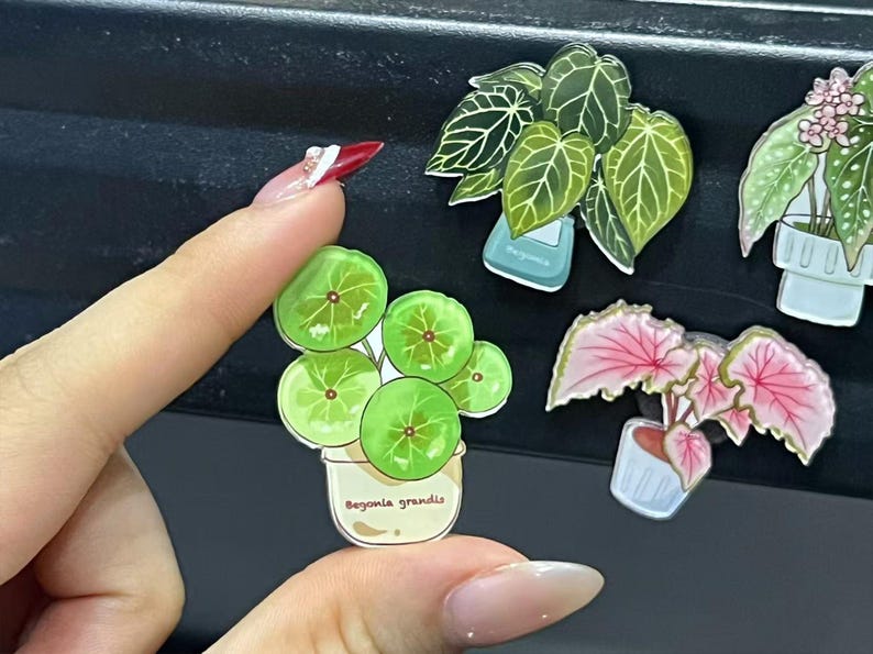 Miniature Tropical Plants Fridge Magnet Decor, Monstera Fridge Magnet ...