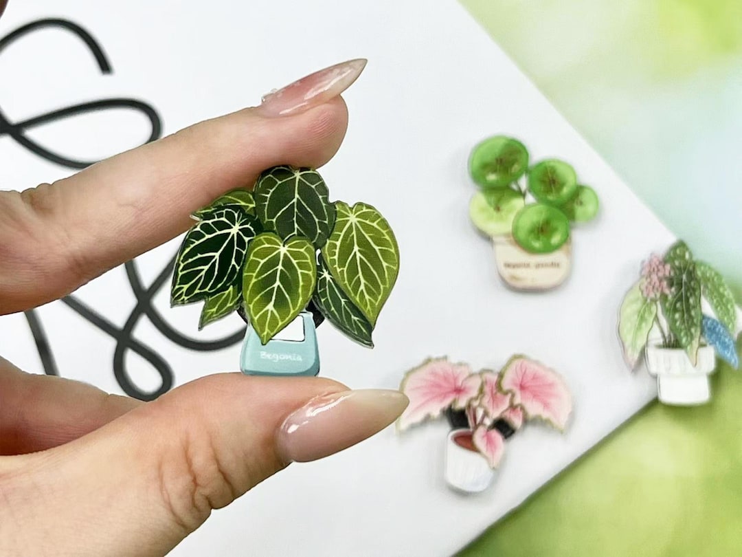 Miniature Tropical Plants Fridge Magnet Decor, Monstera Fridge Magnet ...