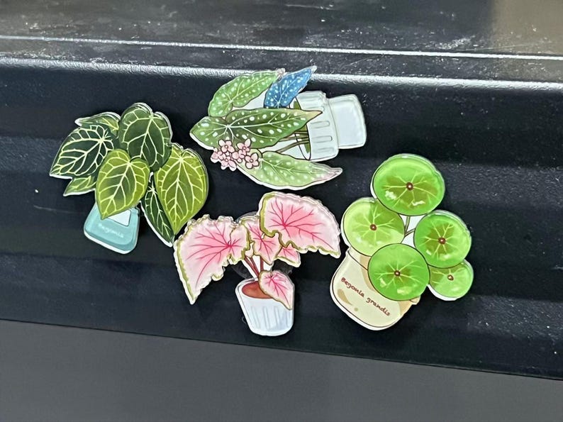 Miniature Tropical Plants Fridge Magnet Decor, Monstera Fridge Magnet ...