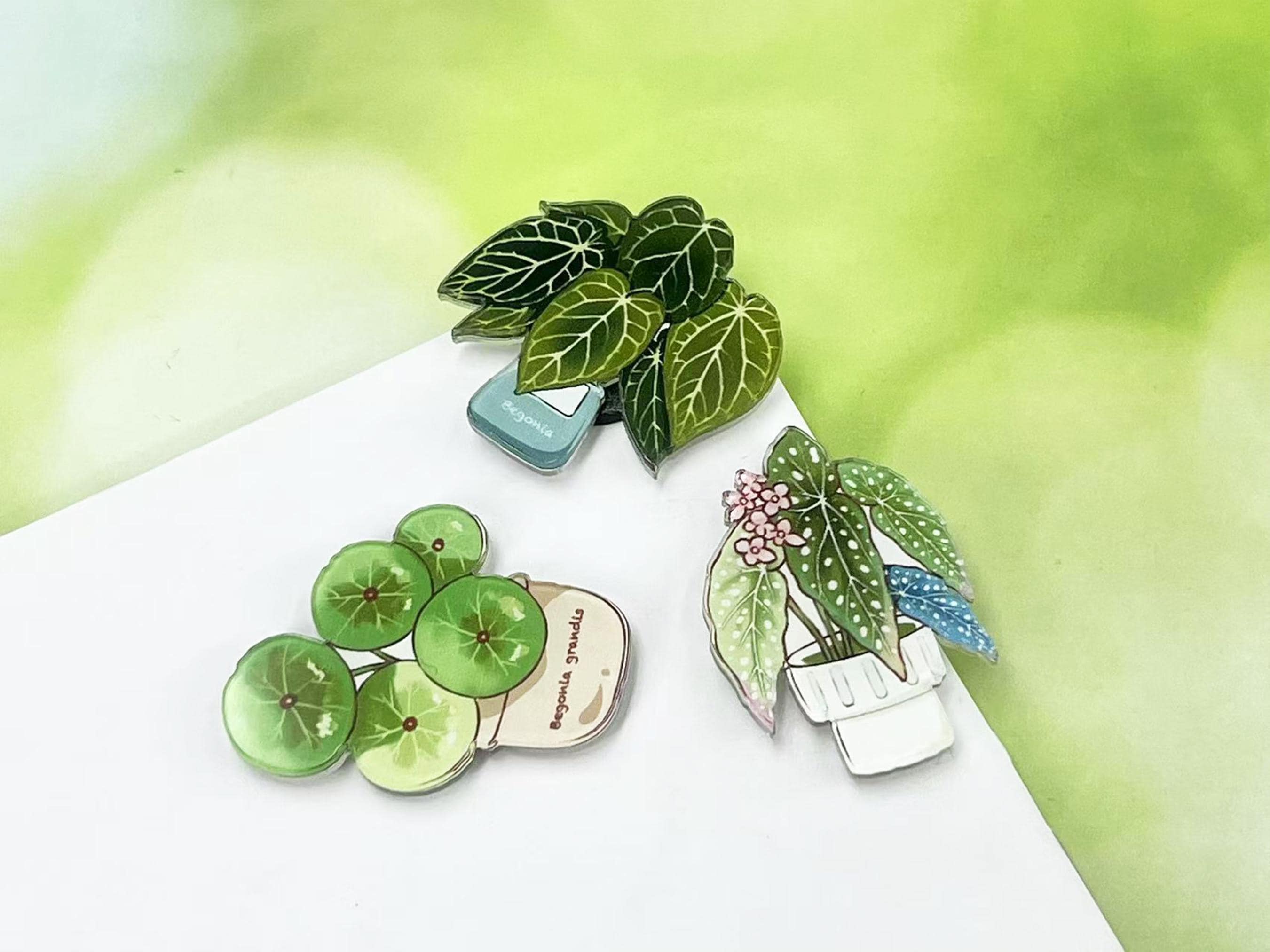 Miniature Tropical Plants Fridge Magnet Decor, Monstera Fridge Magnet ...