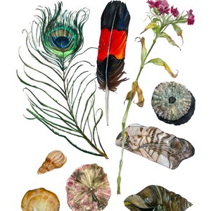 Hand Drawn Watercolor Nature Collage - Etsy