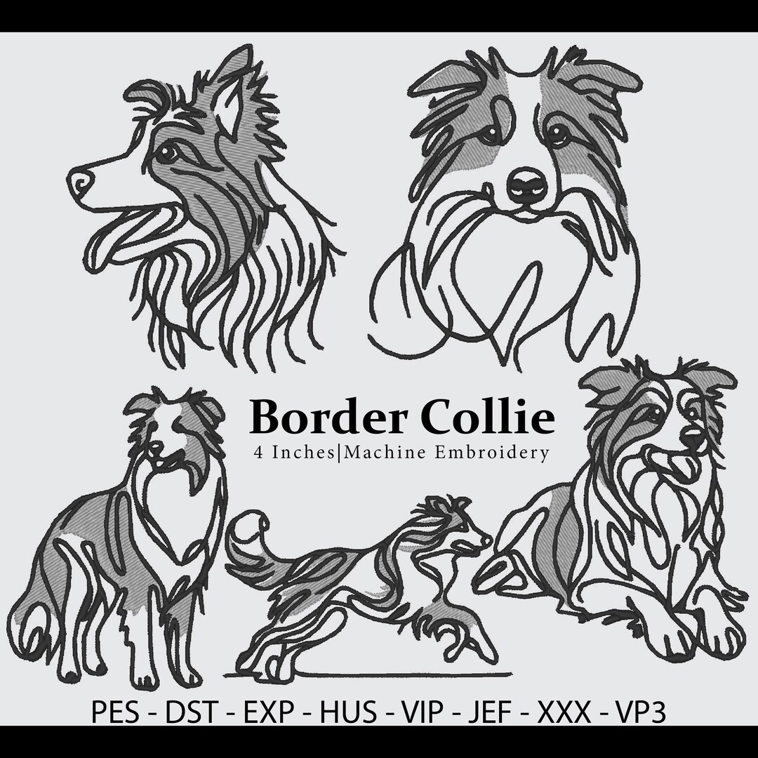5 Embroidery Design Minimalist Border Collie Line Art,dog Breed,pet ...