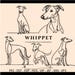 5 Embroidery Design Minimalist Whippet Dog Line Art,dog Breed,pet ...