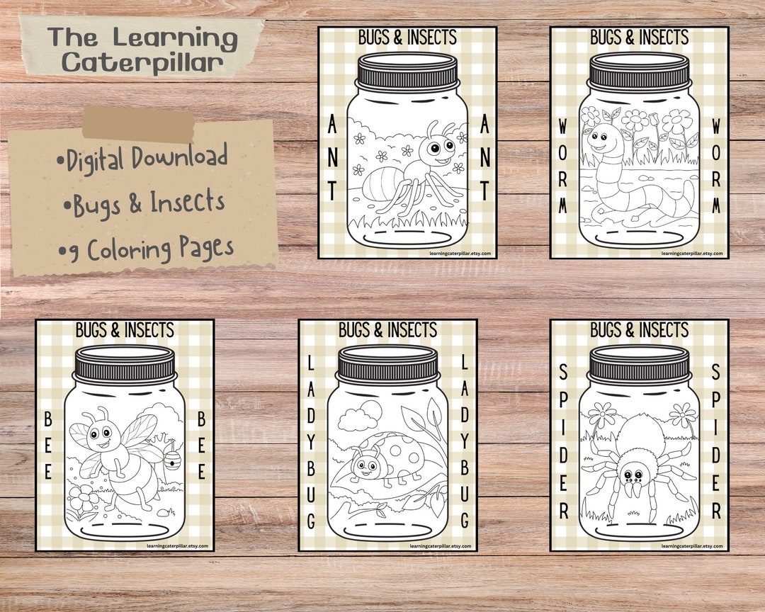 Bugs Education Bugs and Insects Coloring Book for Kids Homeschool ...