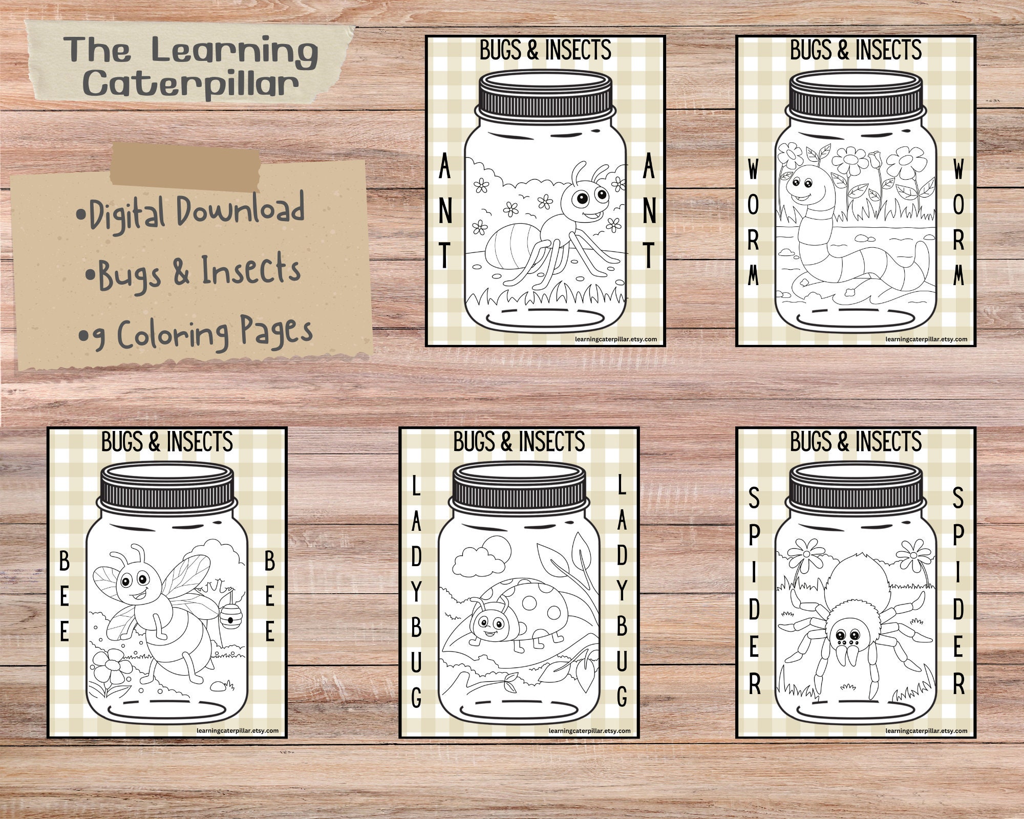 Bugs Education Bugs and Insects Coloring Book for Kids Homeschool ...