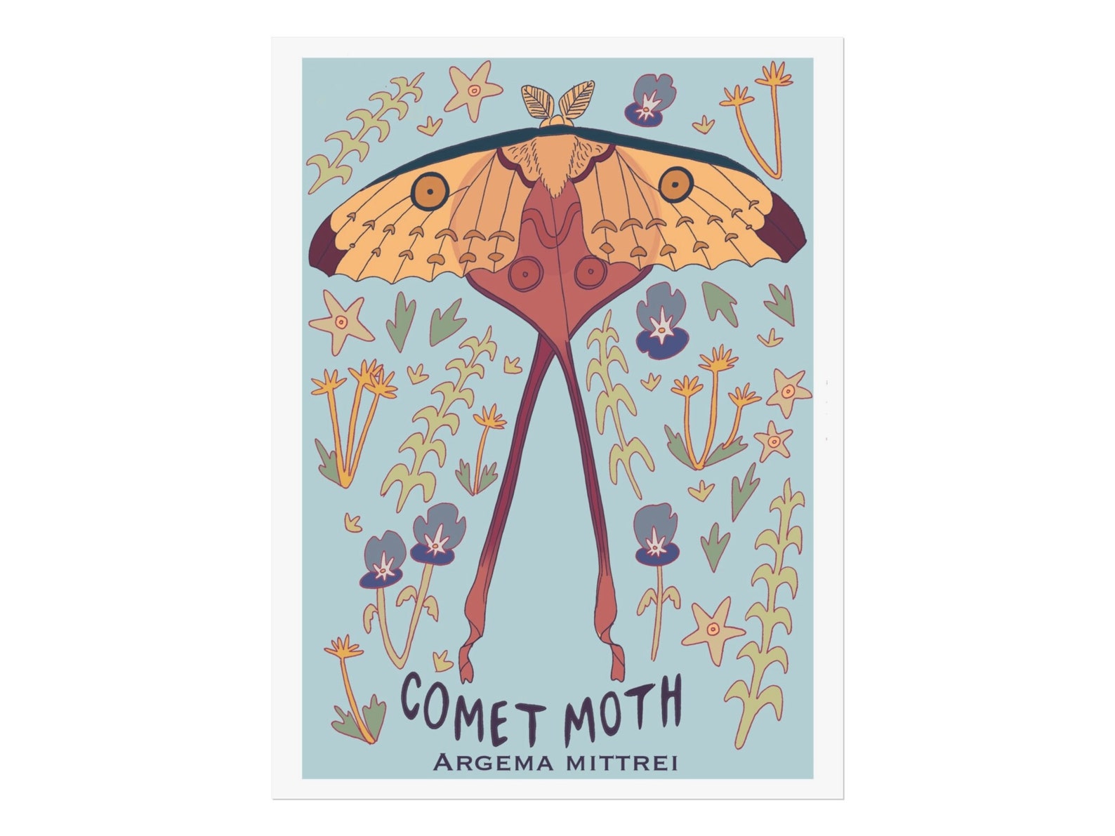 Comet Moth Poster Art Print - Etsy
