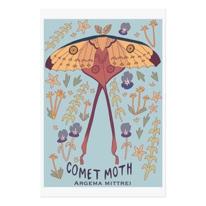 Comet Moth Poster Art Print - Etsy