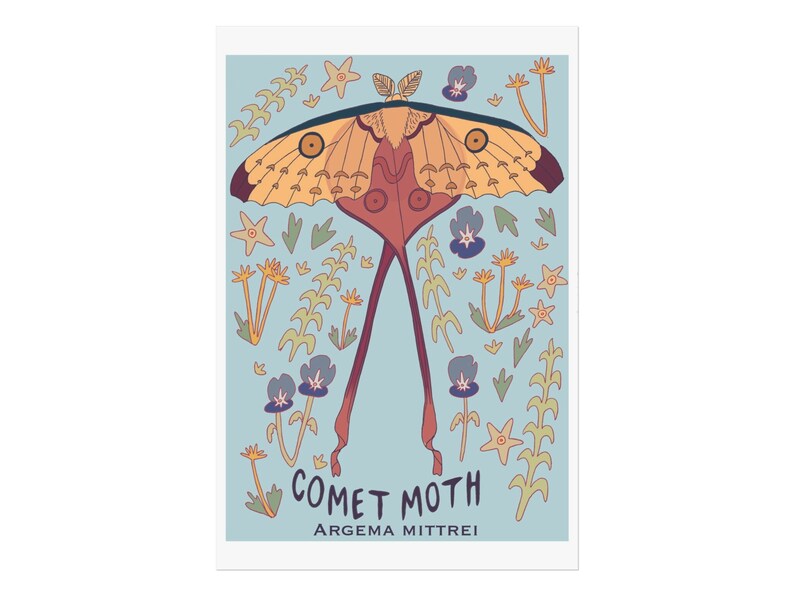 Comet Moth Poster Art Print - Etsy