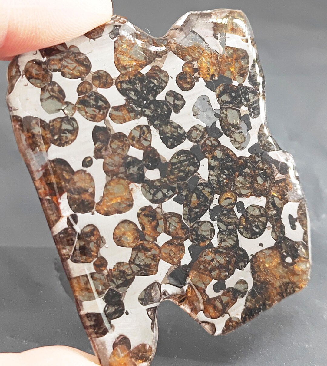 20g Seymchan Pallasite Olive Meteorite Slices Specimen Natural ...