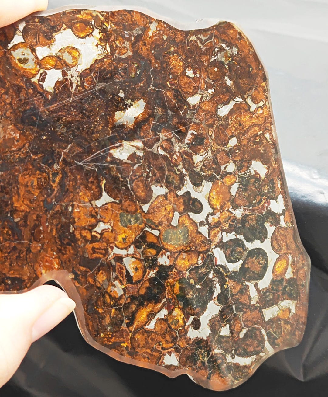 76g SERICHO PALLASITE Meteorite Natural Olivine Meteorite Material ...