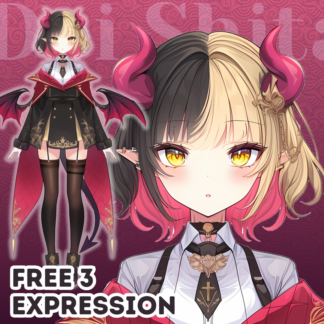 Custom Live2d Model Vtuber Character full Body & Half Body Vtuber Model ...