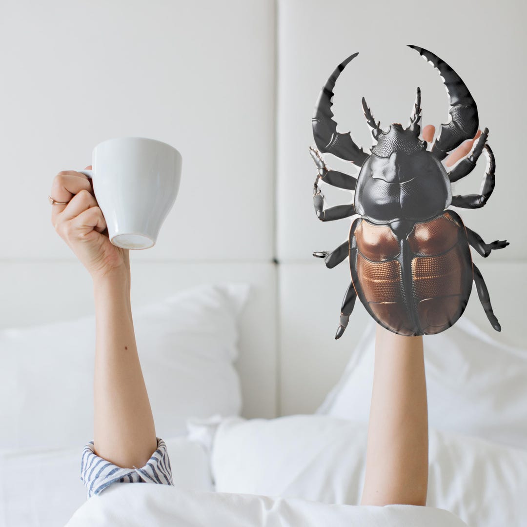 Realistic Beetle Pillow, Unique Insect and Bug Shaped Cushion, Bug ...