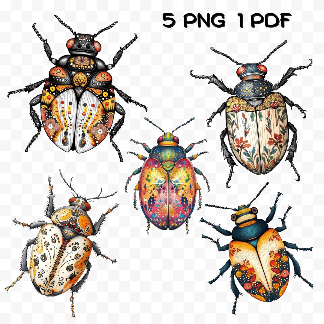 5 Amazing Insects and Beetles Clipart, Digital Download,high-quality ...