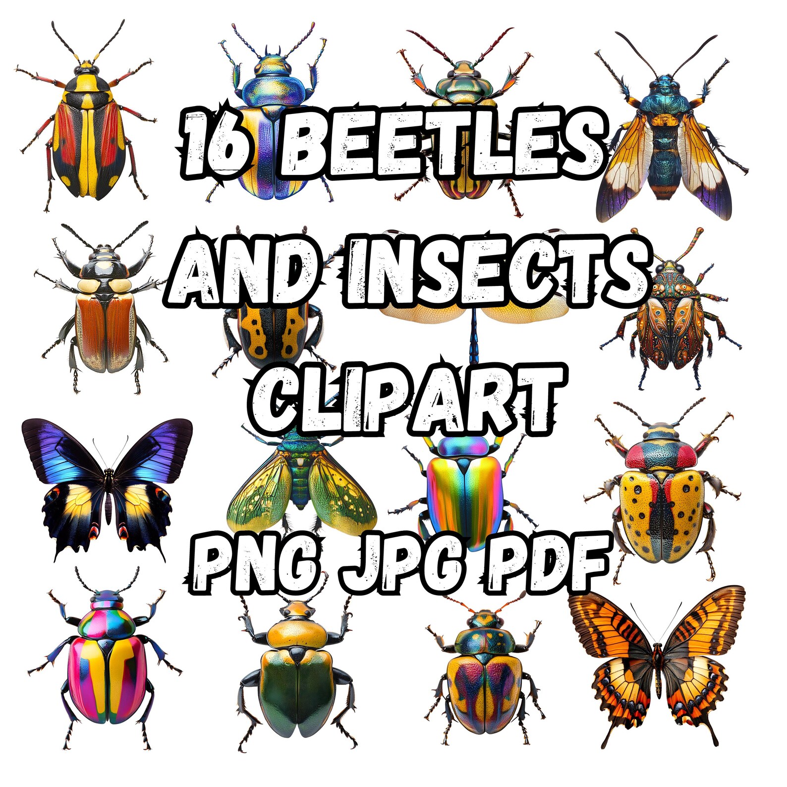 16 Unique Insects & Beetles Clipart, Digital Download, High-quality PNG, Printable for Crafting ...