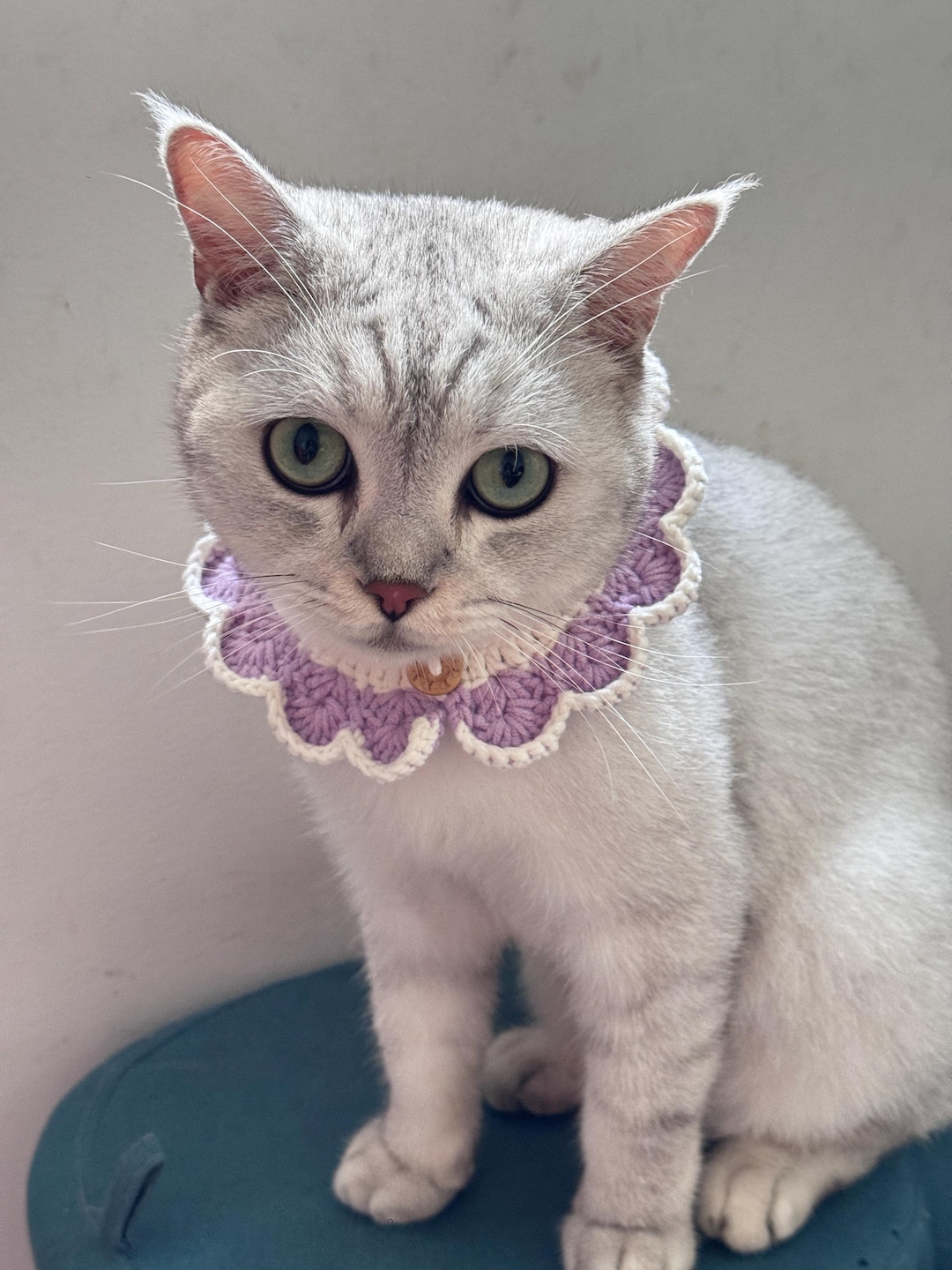 Crochet Cat Collar Pattern: Pet Scarf, Snood Tutorial (PDF Download) - Etsy