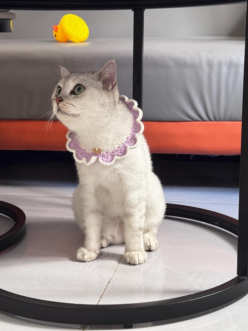 Crochet Cat Collar Pattern: Pet Scarf, Snood Tutorial (PDF Download) - Etsy
