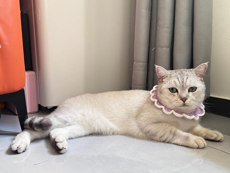 Crochet Cat Collar Pattern: Pet Scarf, Snood Tutorial (PDF Download) - Etsy