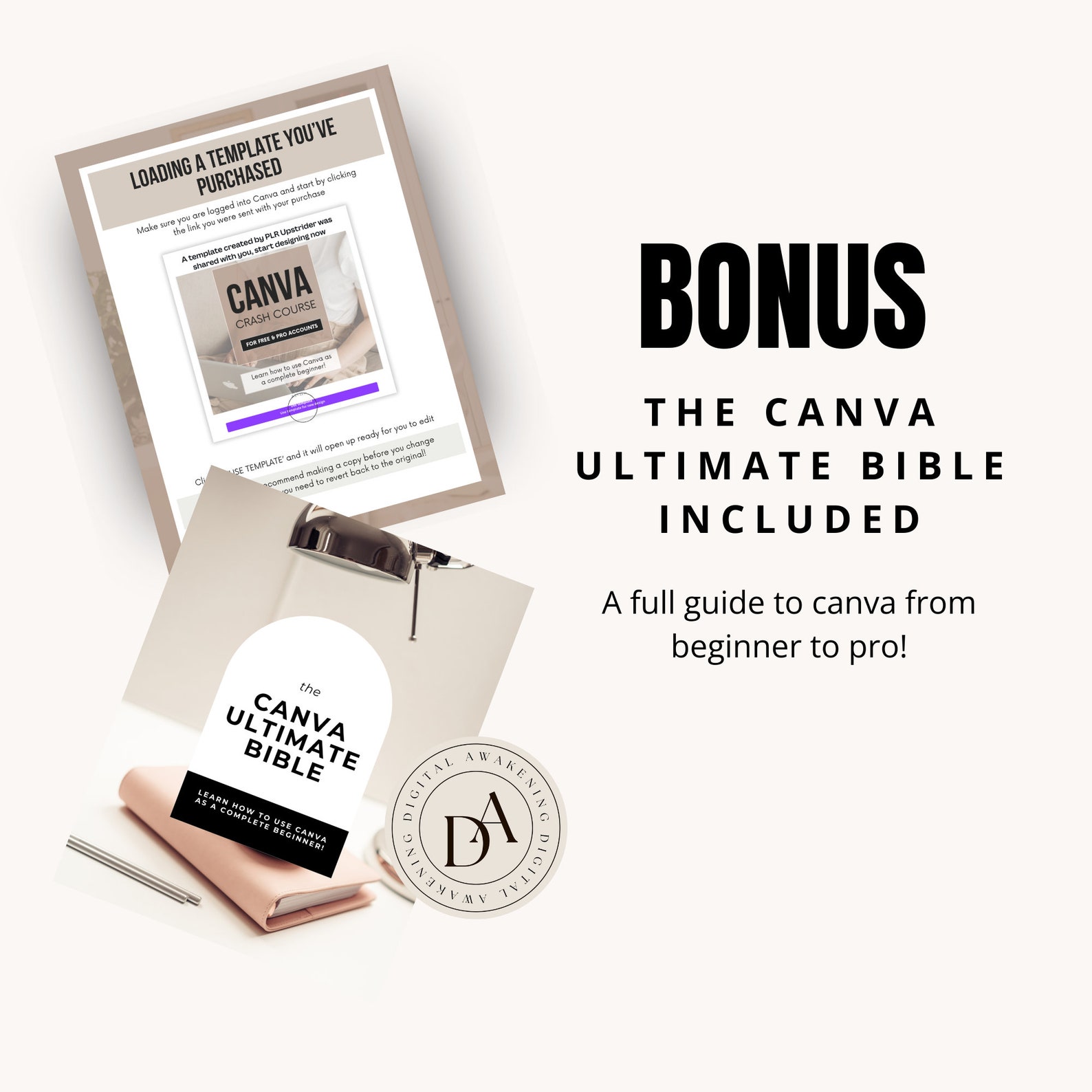 Stan Store Guide Success With Stan Store Plr Done for You Guide Lead ...