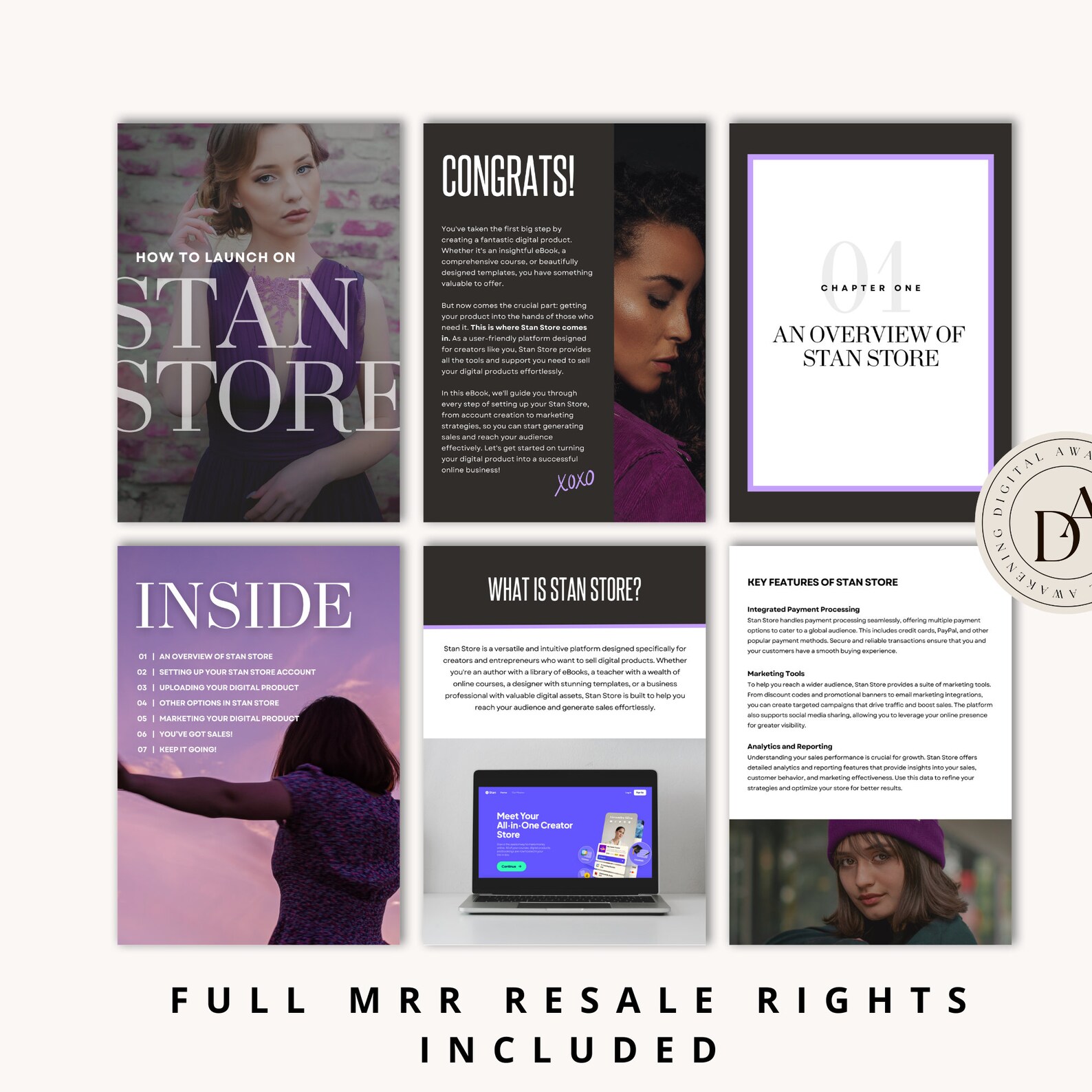 Stan Store Guide Success With Stan Store Plr Done for You Guide Lead ...