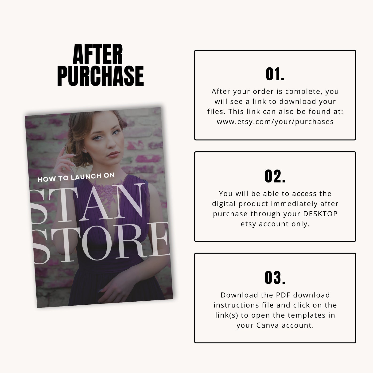 Stan Store Guide Success With Stan Store Plr Done for You Guide Lead ...