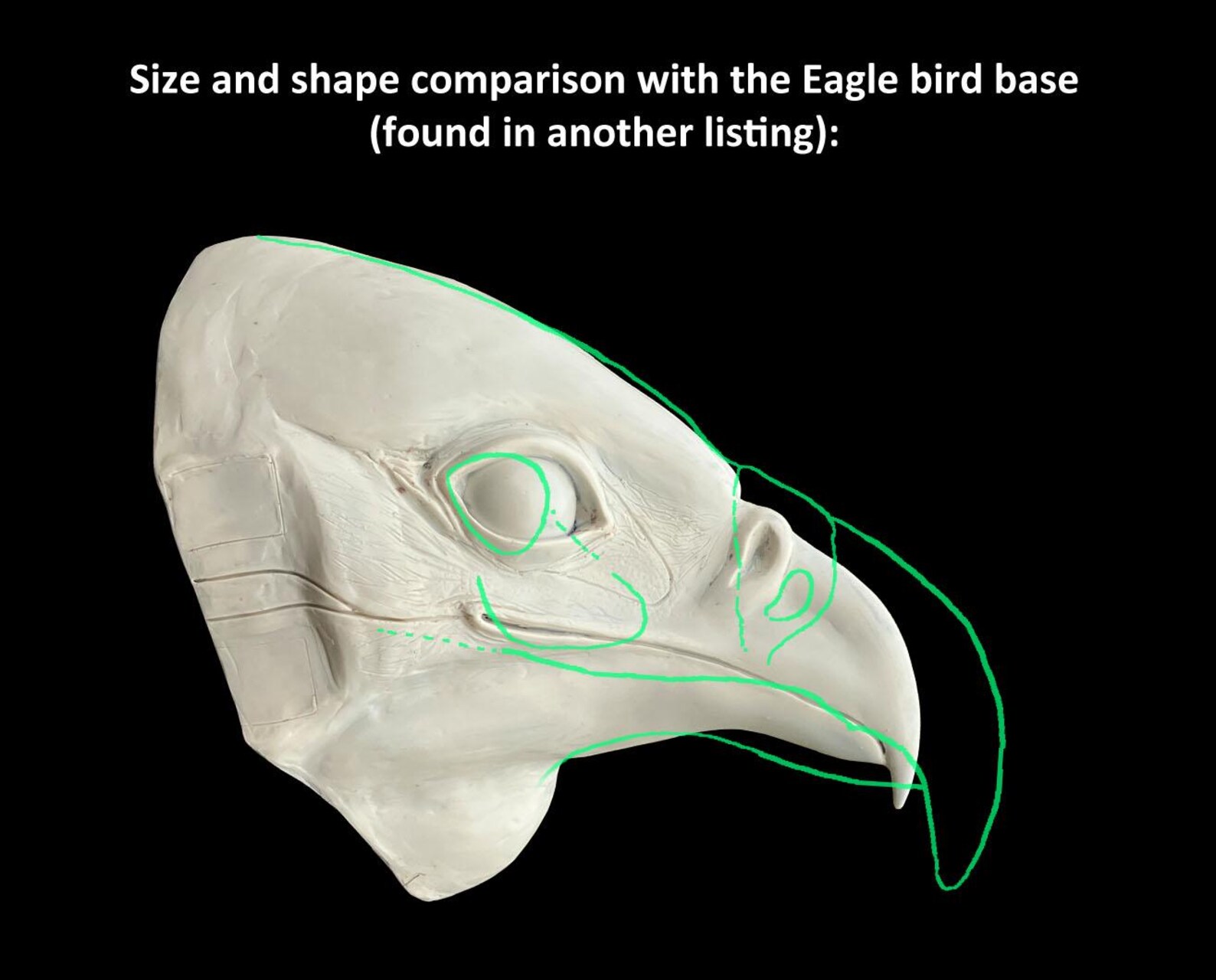 DIY FULL SET Realistic Secretary Bird Resin Head Base With Accessories ...