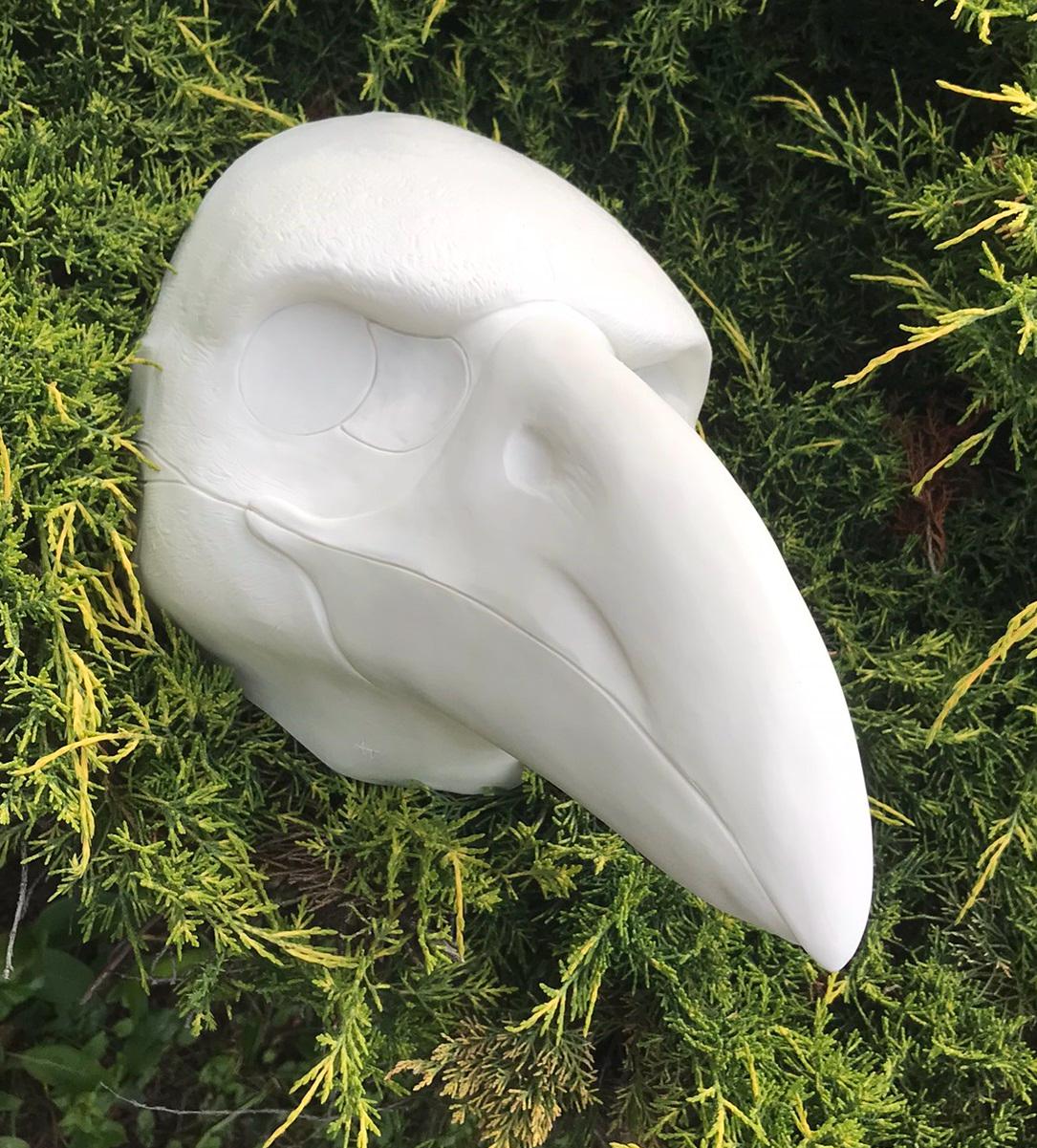 Realistic Corvid Resin Head Base / Ideal for Raven Crow Magpie Jay ...