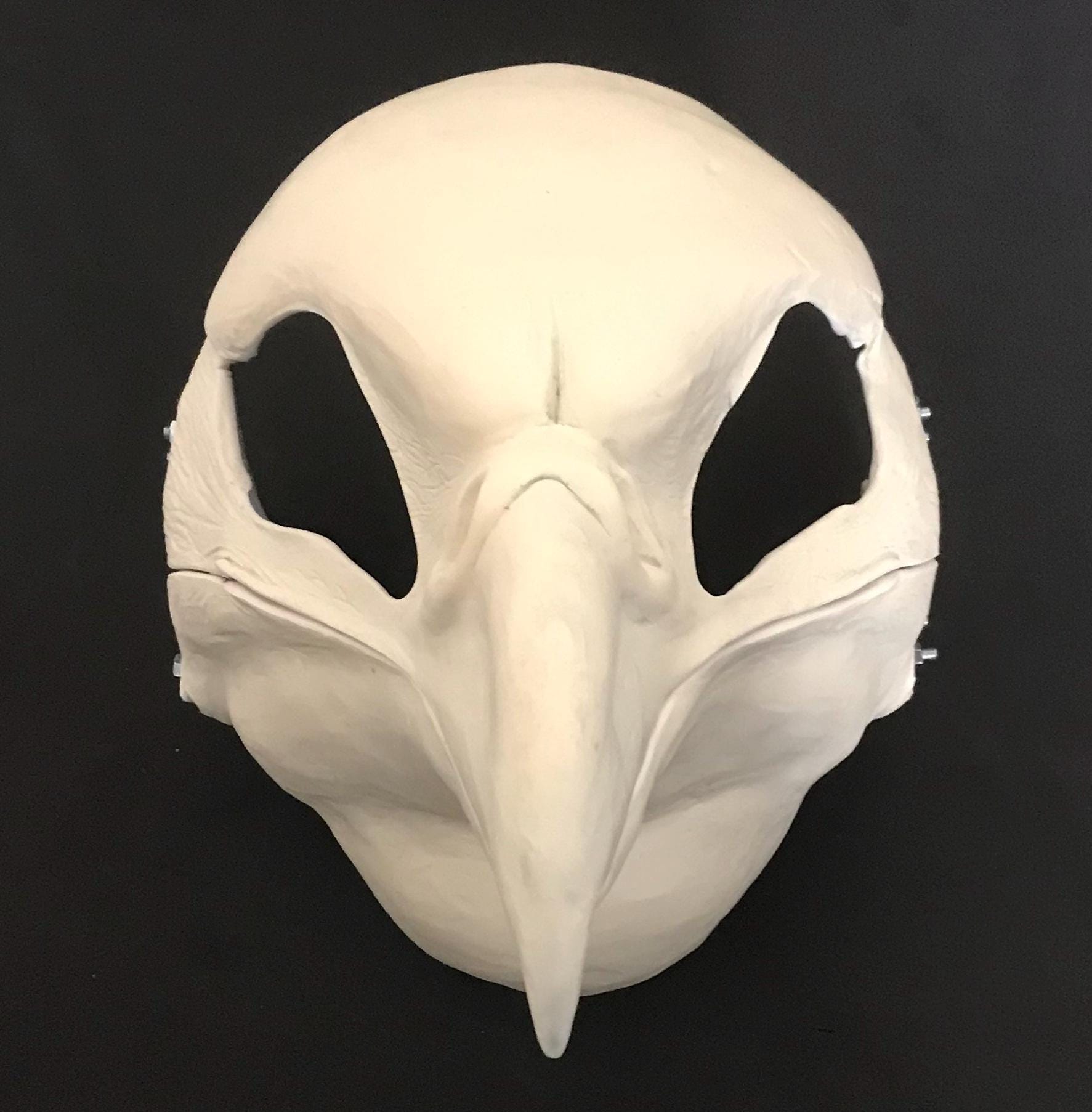 DIY FULL SET Realistic Secretary Bird Resin Head Base With Accessories ...