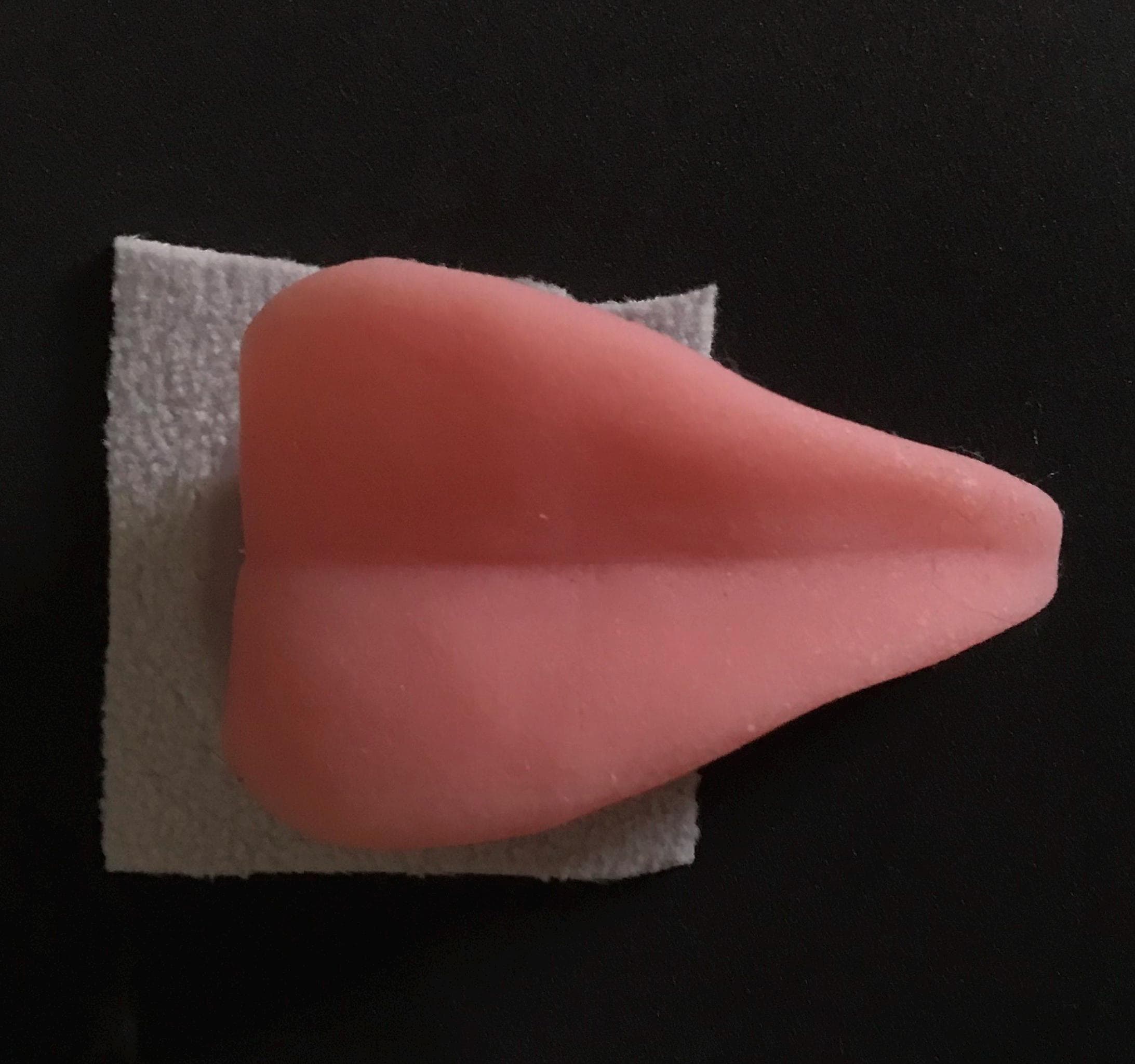 Realistic Secretary Bird Silicone Tongue / Also Ideal for Falcon ...
