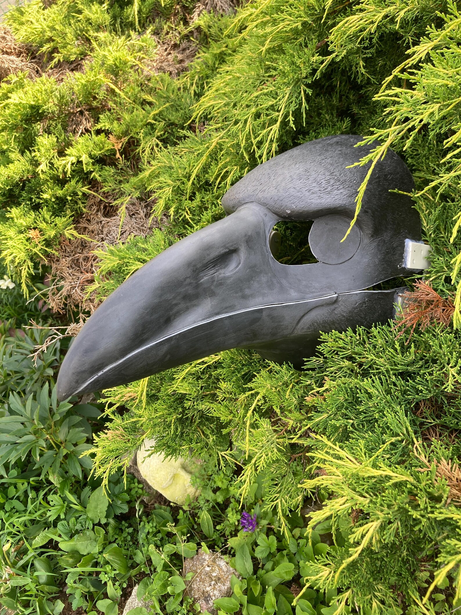 Realistic Corvid Resin Head Base / Ideal for Raven Crow Magpie Jay ...
