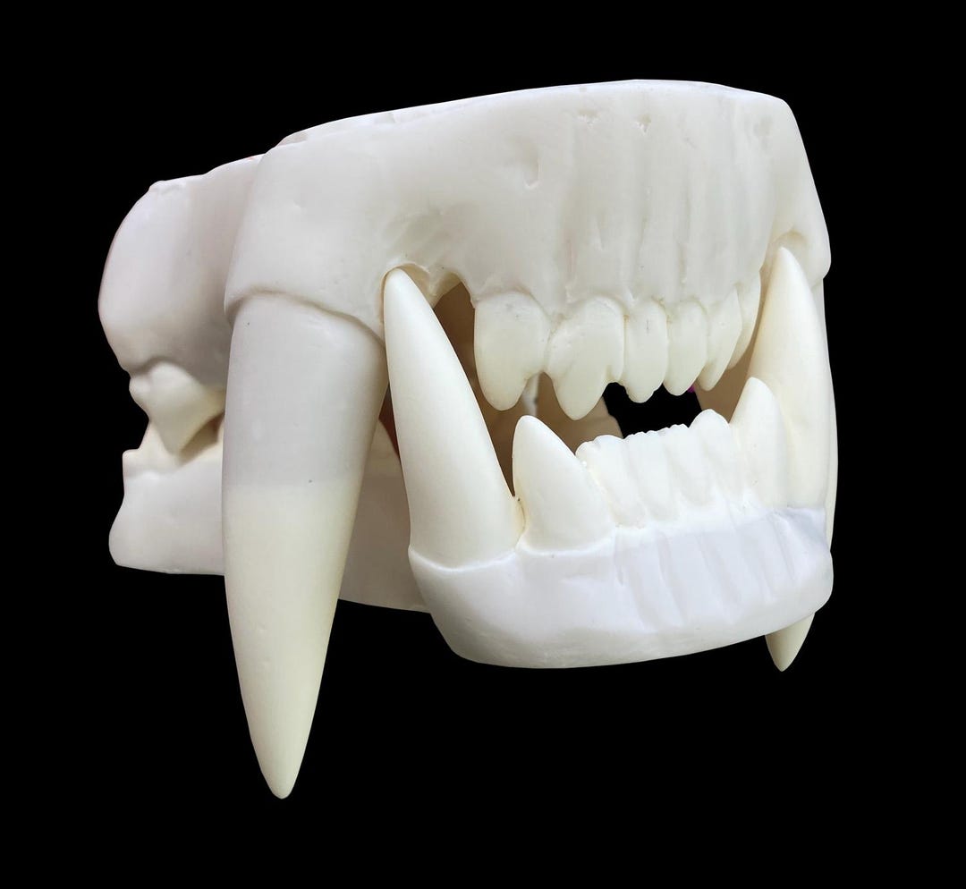 Realistic Werewolf Resin Teeth / Also Ideal for Similar Monster Fursuit ...