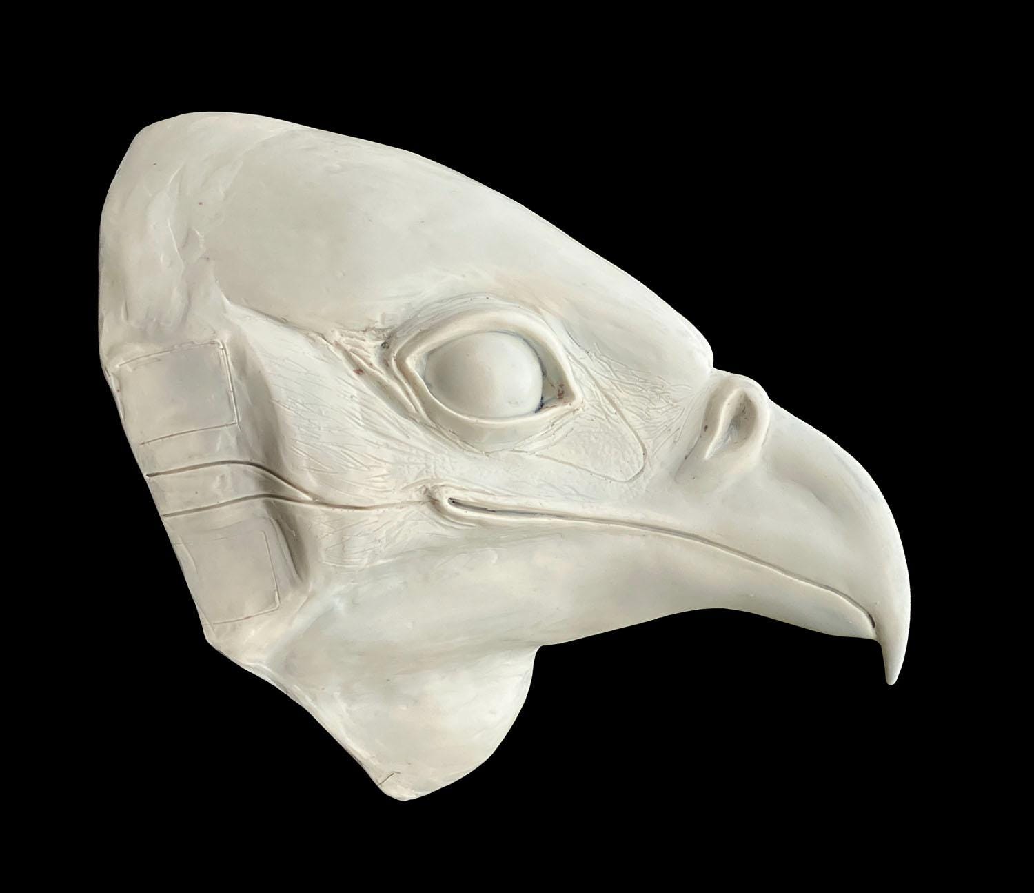 DIY FULL SET Realistic Secretary Bird Resin Head Base With Accessories ...