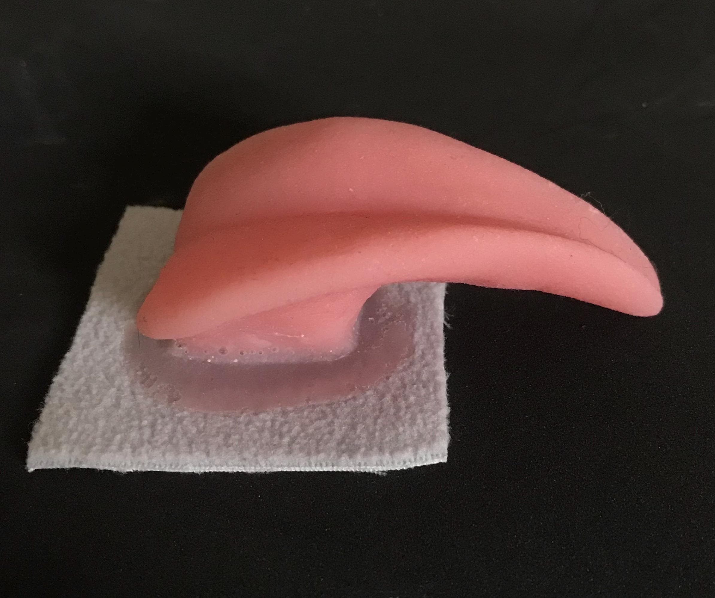 Realistic Secretary Bird Silicone Tongue / Also Ideal for Falcon ...