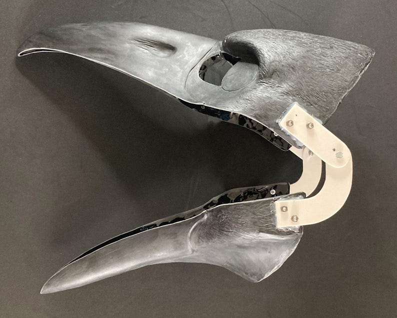 Realistic Corvid Resin Head Base / Ideal for Raven Crow Magpie Jay ...