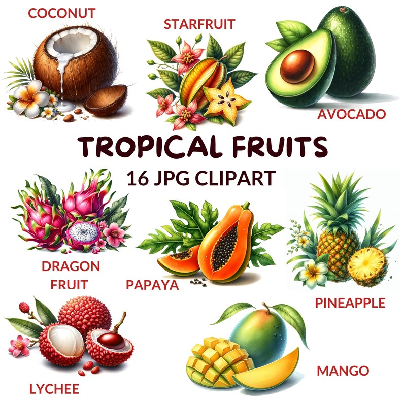 Watercolor Tropical Fruits Clipart Bundle, 16 PNG and JPG Files, Exotic ...