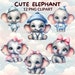 12 Watercolor Elephant Clipart Bundle, Cute Pink and Blue Elephant PNG ...