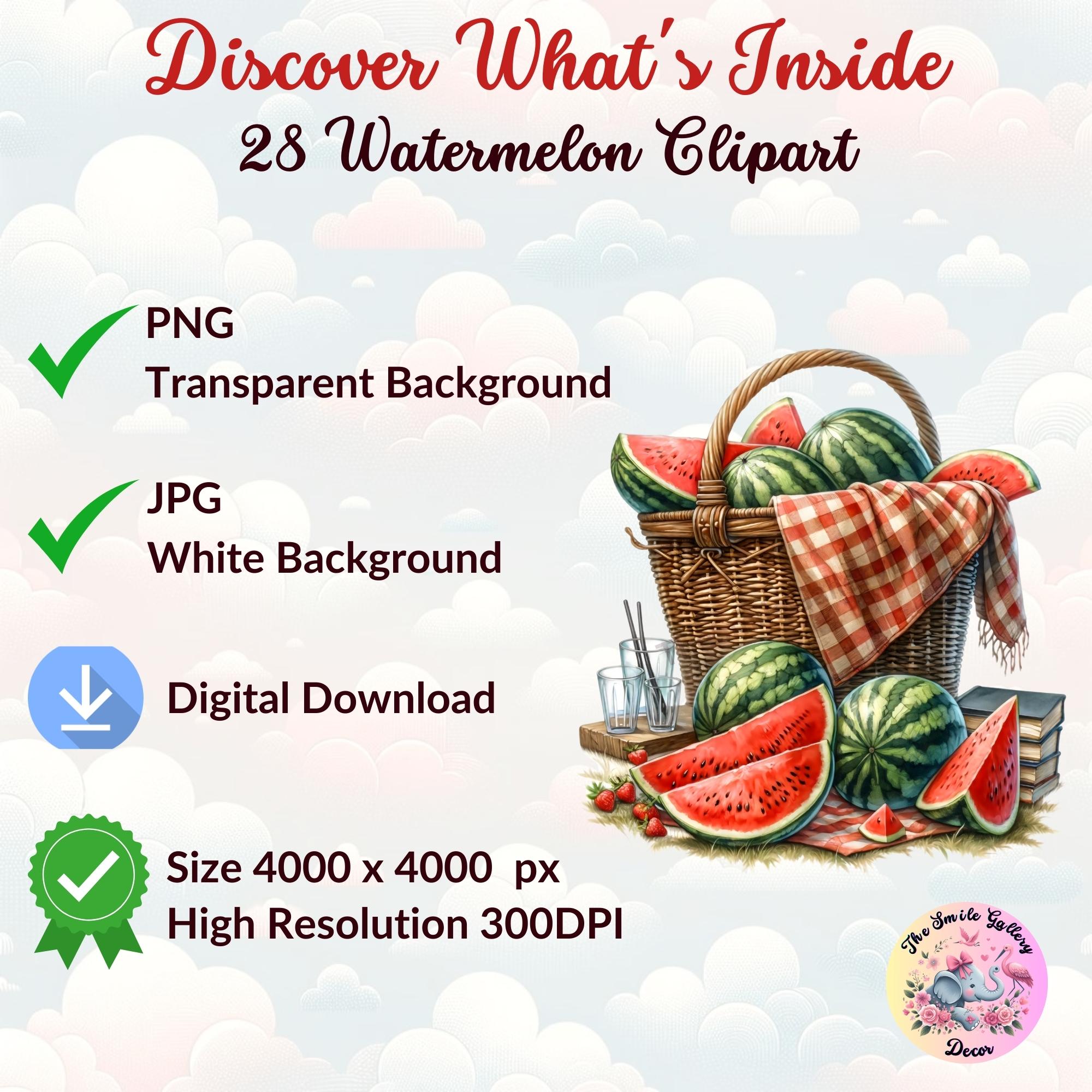 Watercolor Watermelon Clipart Bundle: Summer Fruit PNG JPG (digital ...