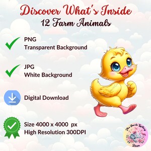 12 Digital Farm Animals Clipart Bundle, Cute Cartoon Animals PNG & JPG ...