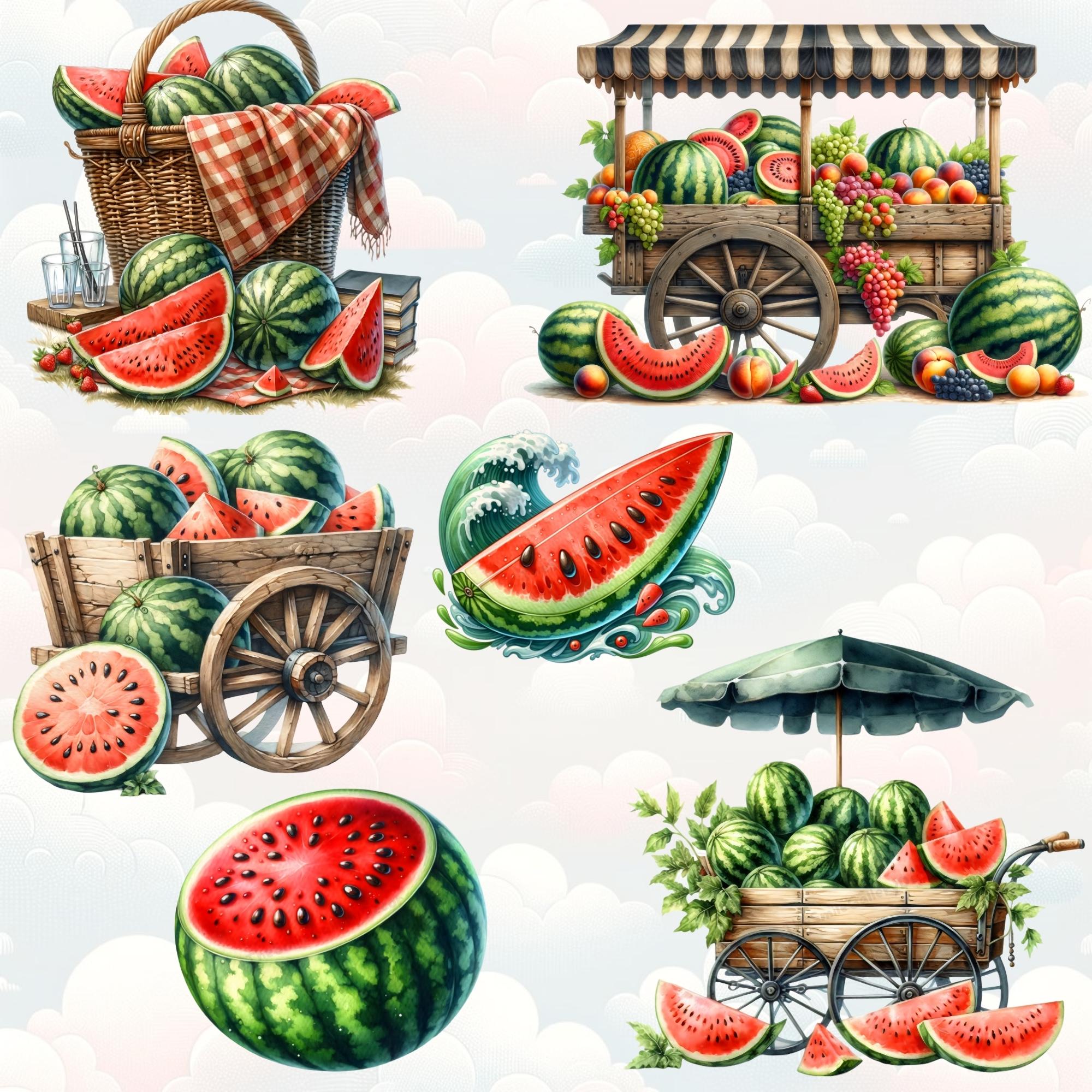 Watercolor Watermelon Clipart Bundle: Summer Fruit PNG JPG (digital ...
