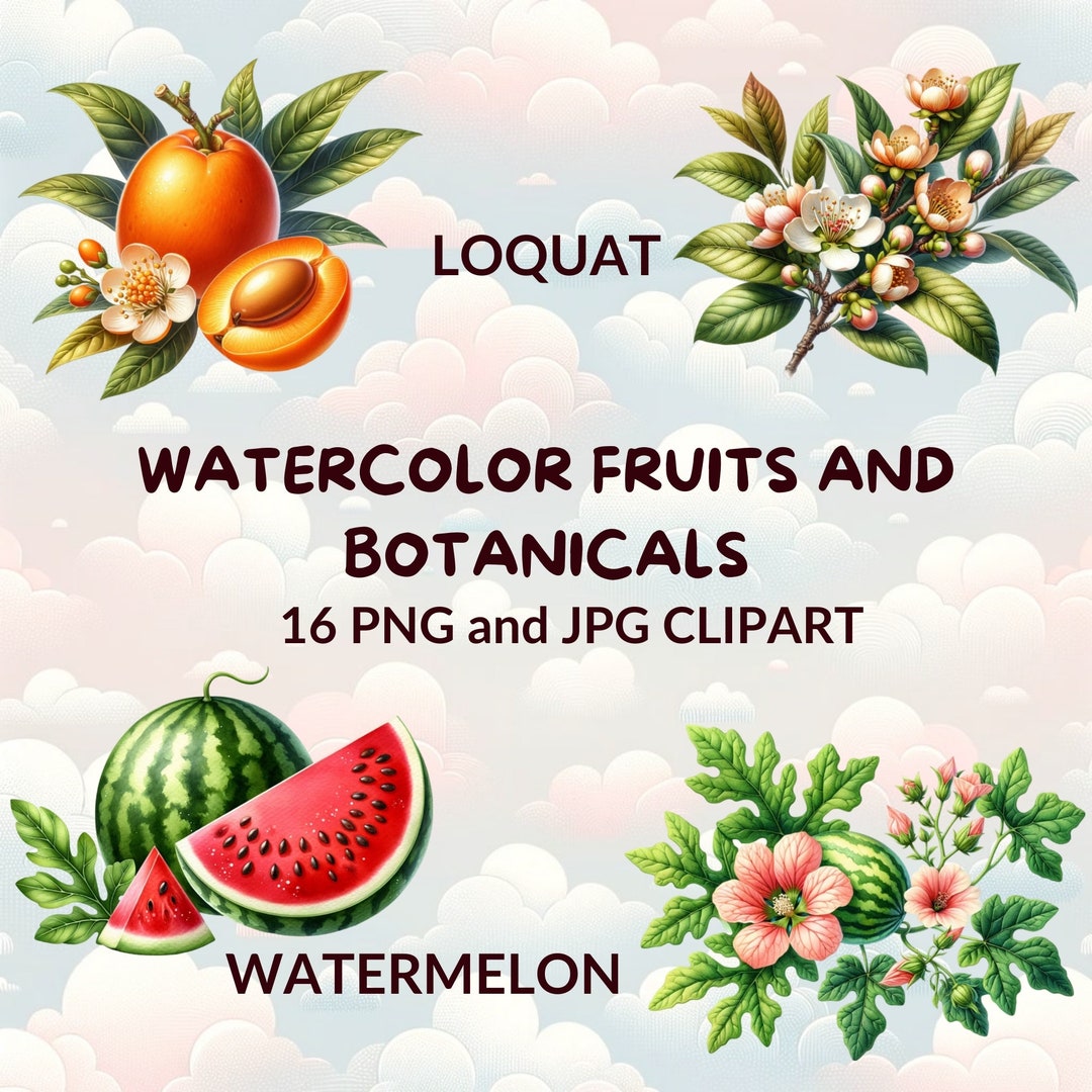 16 Watercolor Fruit and Botanicals PNG Clipart Bundle, Strawberry Decor ...