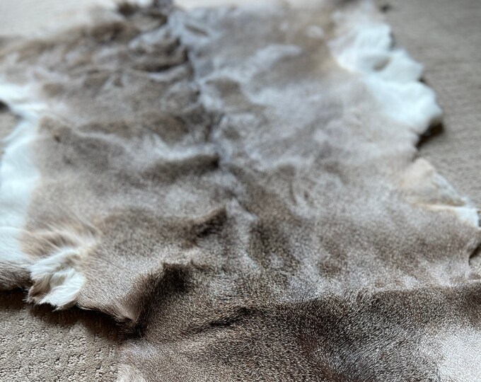 Tanned Whitetail Deer Hide, Native and Wild - Etsy
