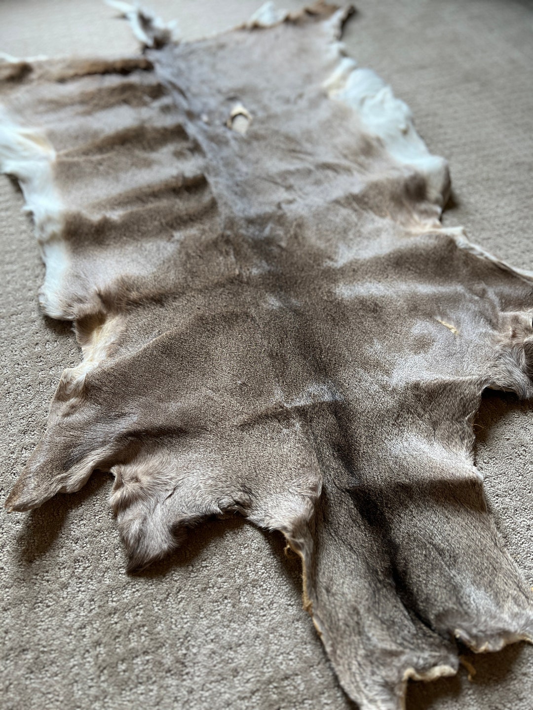Tanned Whitetail Deer Hide, Native and Wild - Etsy