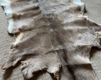 Tanned Whitetail Deer Hide, Native and Wild - Etsy