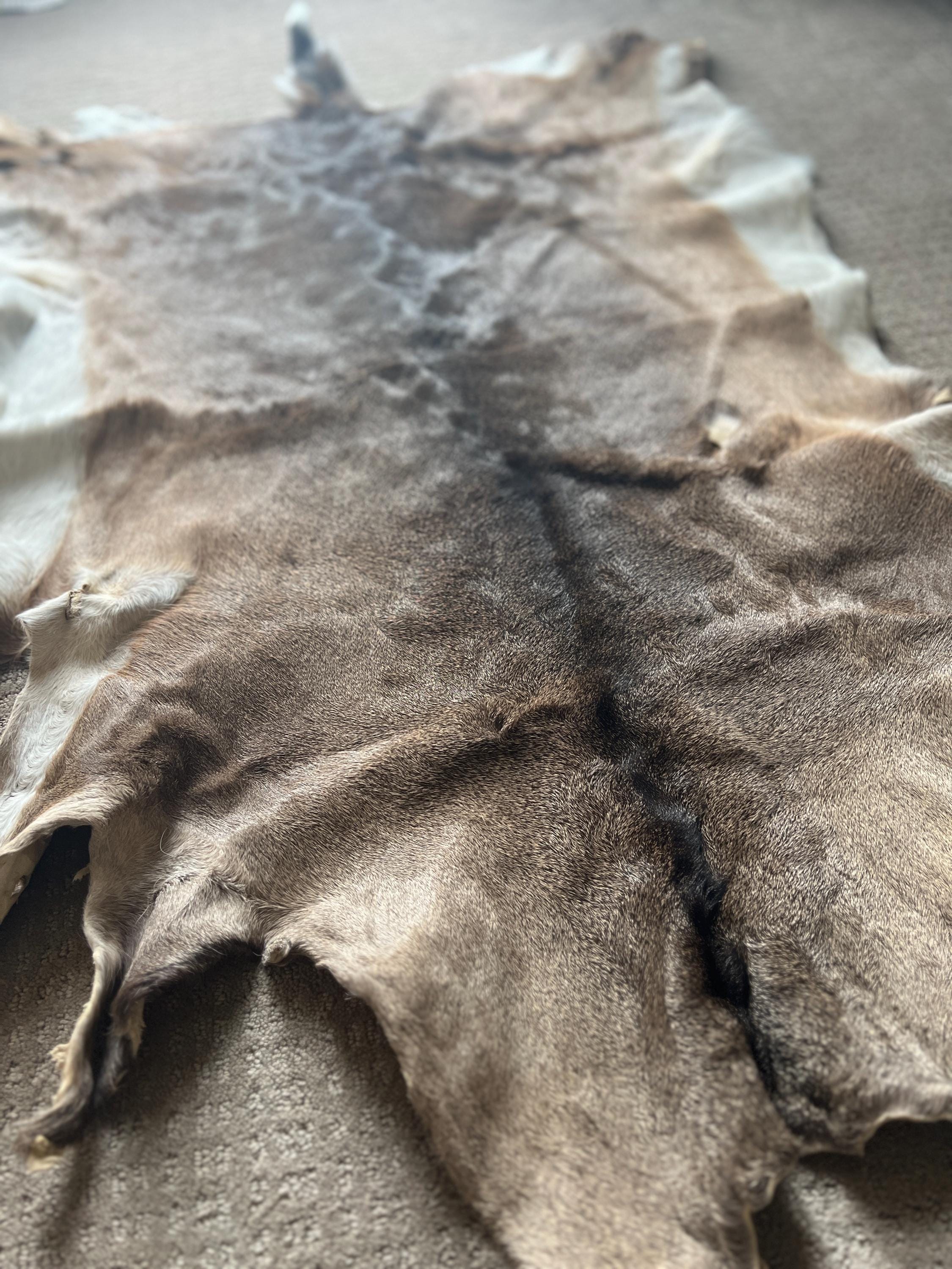 Tanned Whitetail Deer Hide, Native and Wild - Etsy