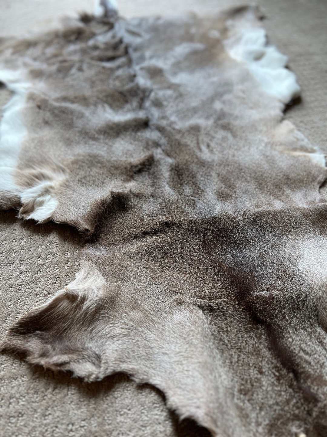 Tanned Whitetail Deer Hide, Native and Wild - Etsy