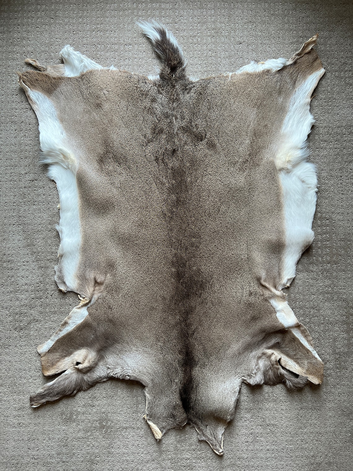 Tanned Whitetail Deer Hide, Native and Wild - Etsy
