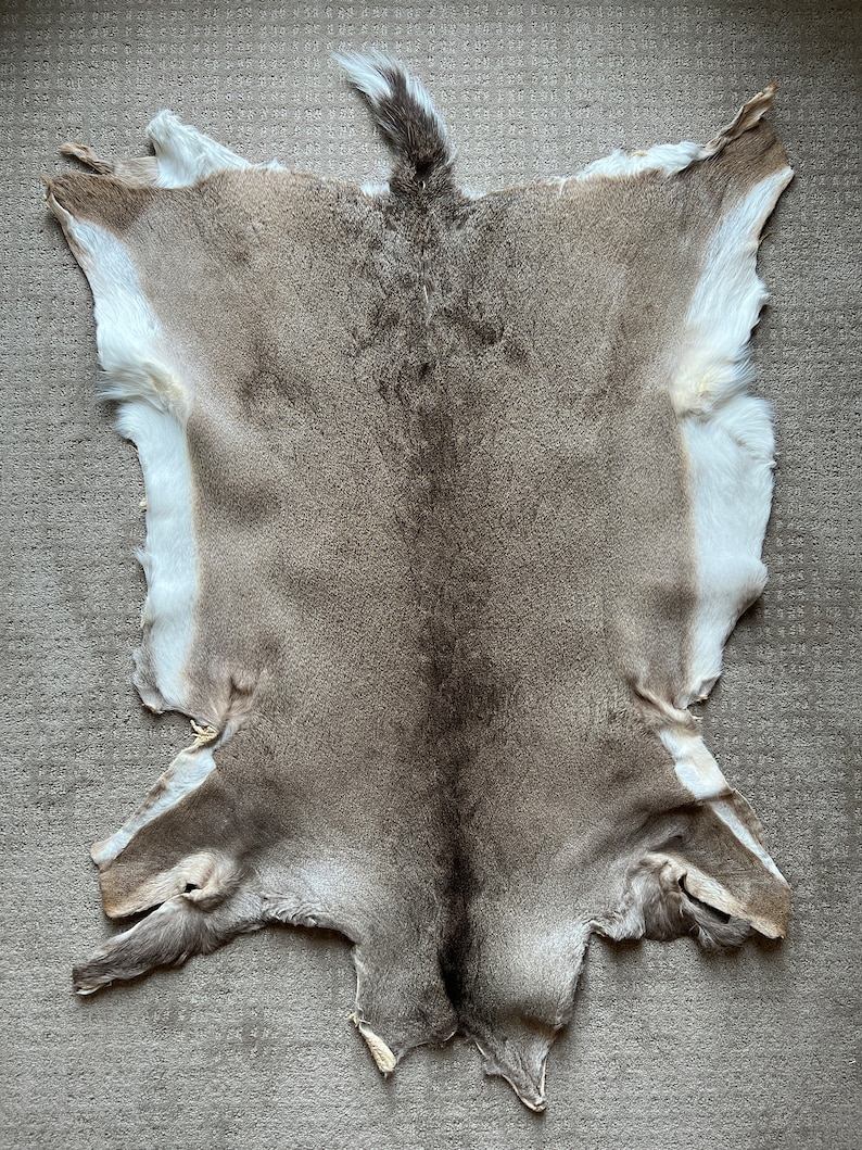 Tanned Whitetail Deer Hide, Native and Wild - Etsy