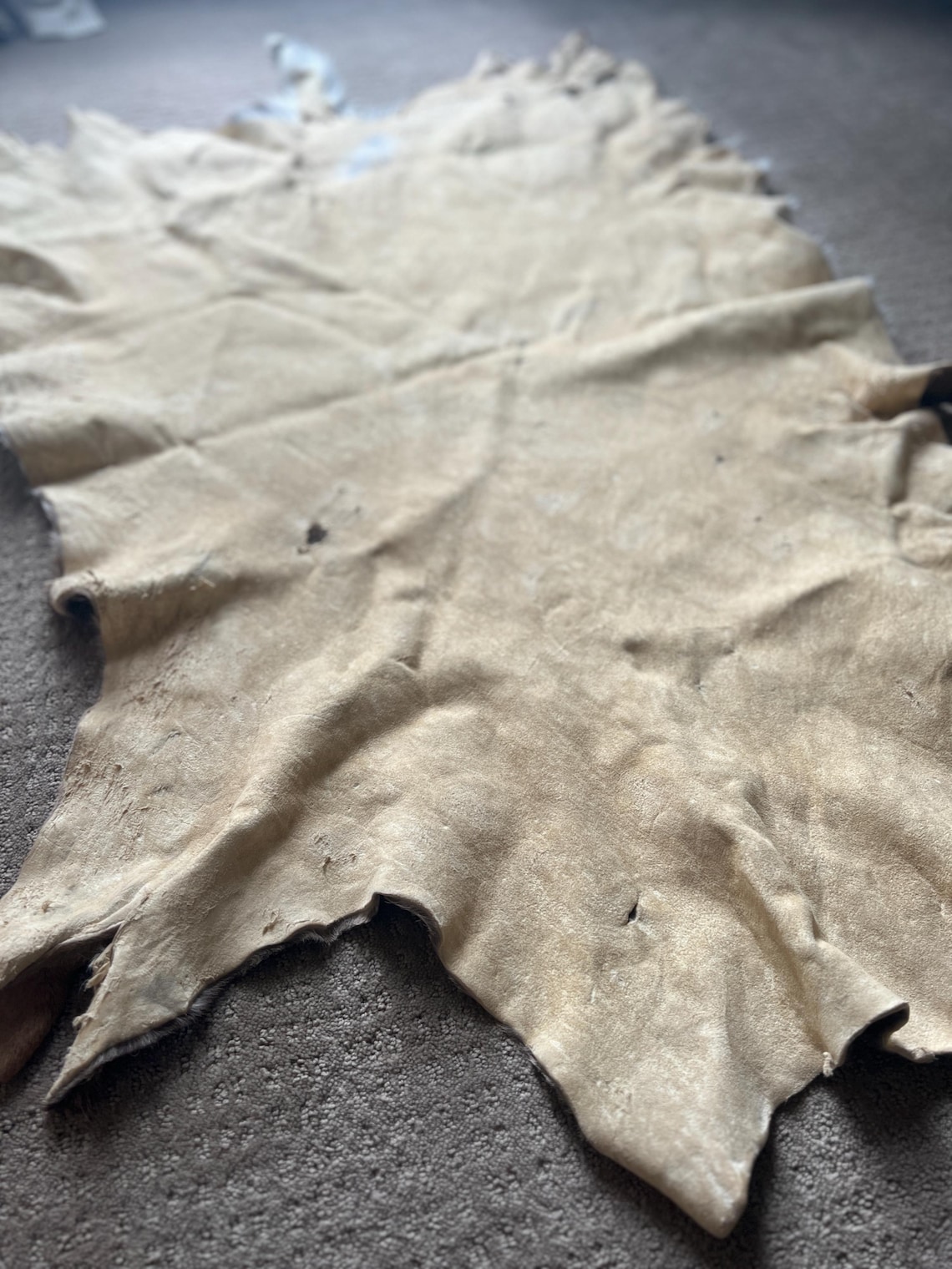 Tanned Whitetail Deer Hide, Native and Wild - Etsy