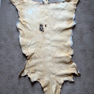 Tanned Whitetail Deer Hide, Native and Wild - Etsy