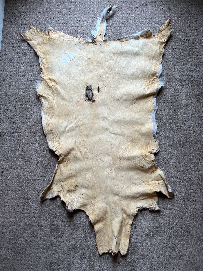 Tanned Whitetail Deer Hide, Native and Wild - Etsy
