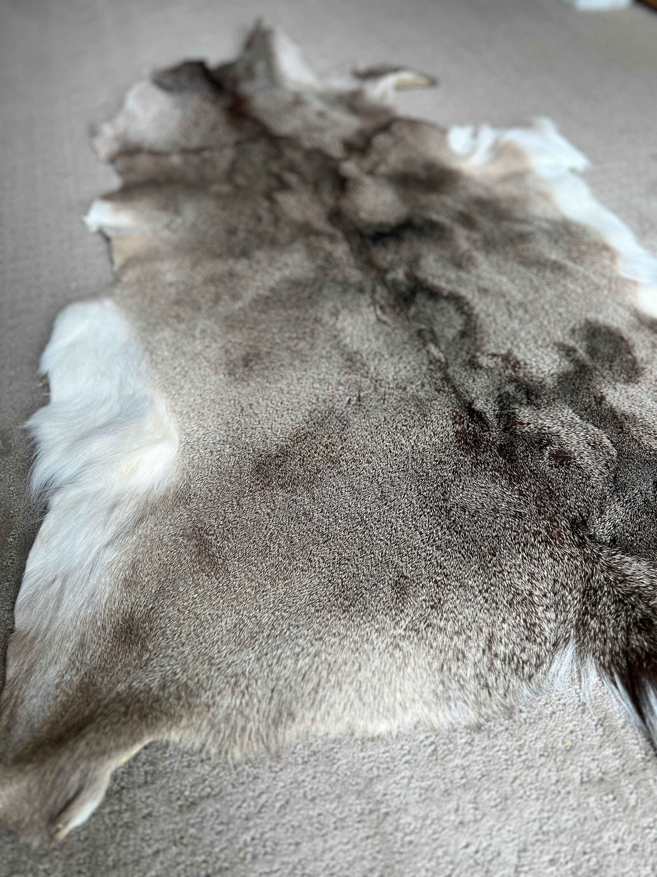Tanned Whitetail Deer Hide, Native and Wild - Etsy